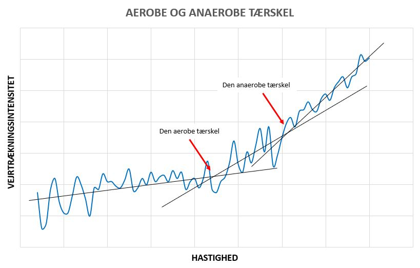 Aerobe en anaerobe training - wat betekent het? - Inspiration